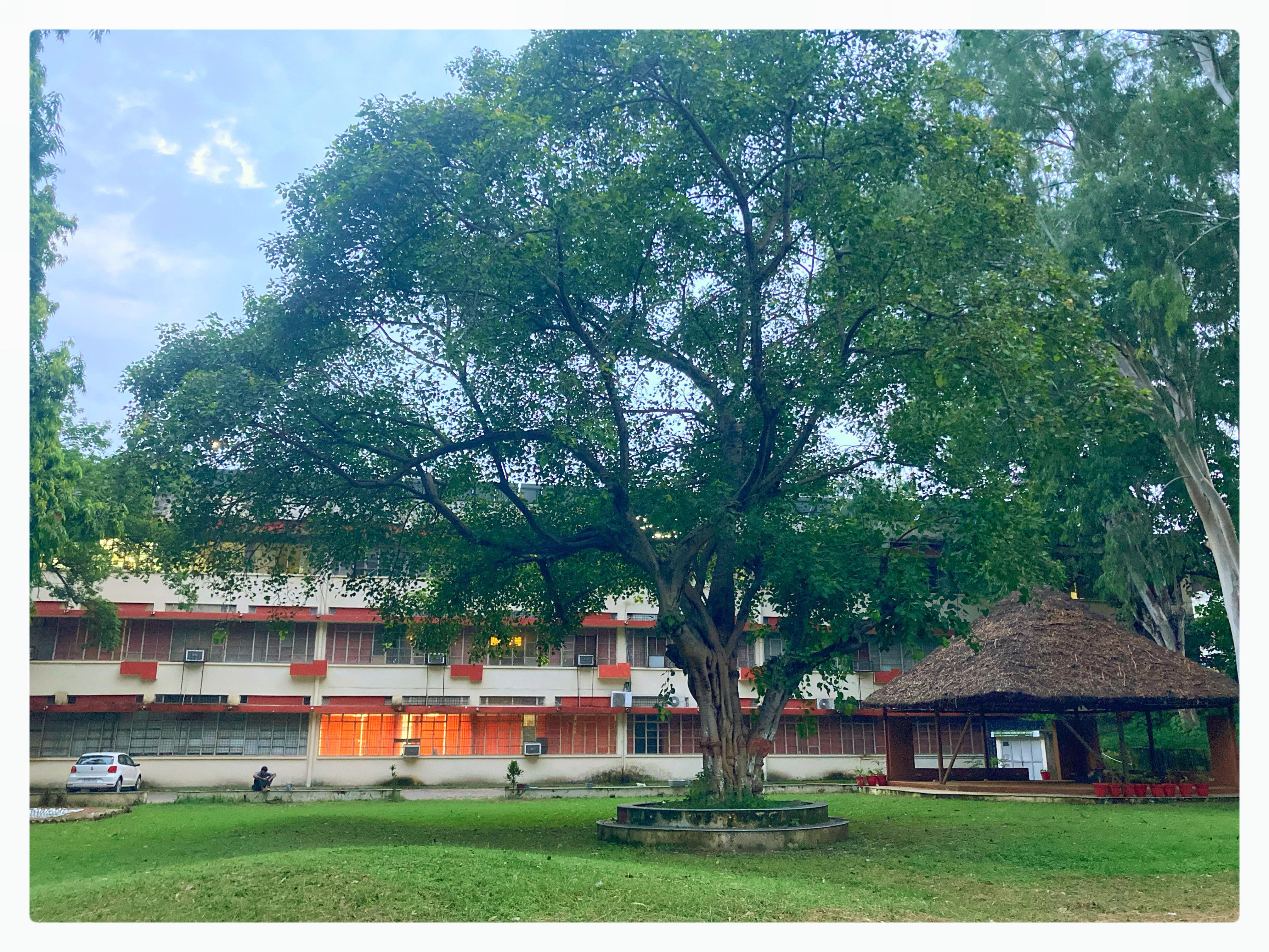 index [ar.iitr.ac.in]